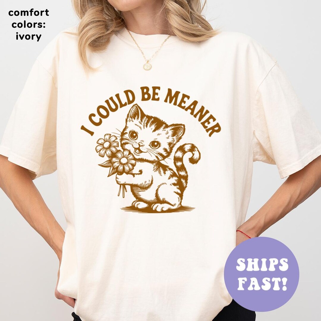 Comfort Colors® I Could Be Meaner Shirt, Funny Humor Shirt, Sarcastic ...