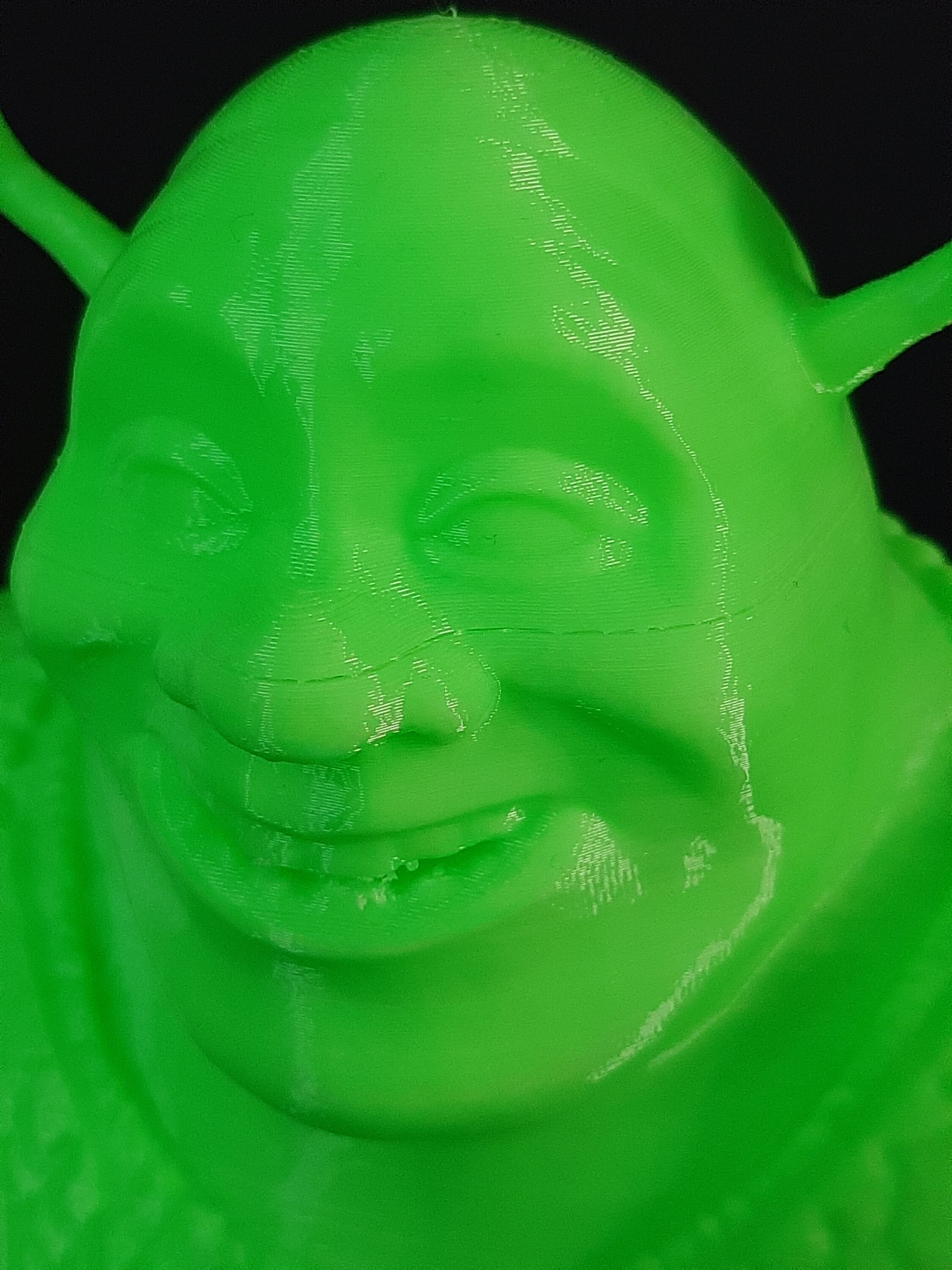 3D Printed Shrek Bust | Etsy