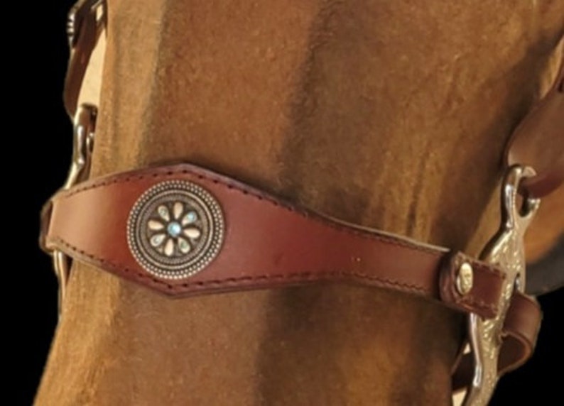 Pdf Pattern Hackamore Noseband - Etsy