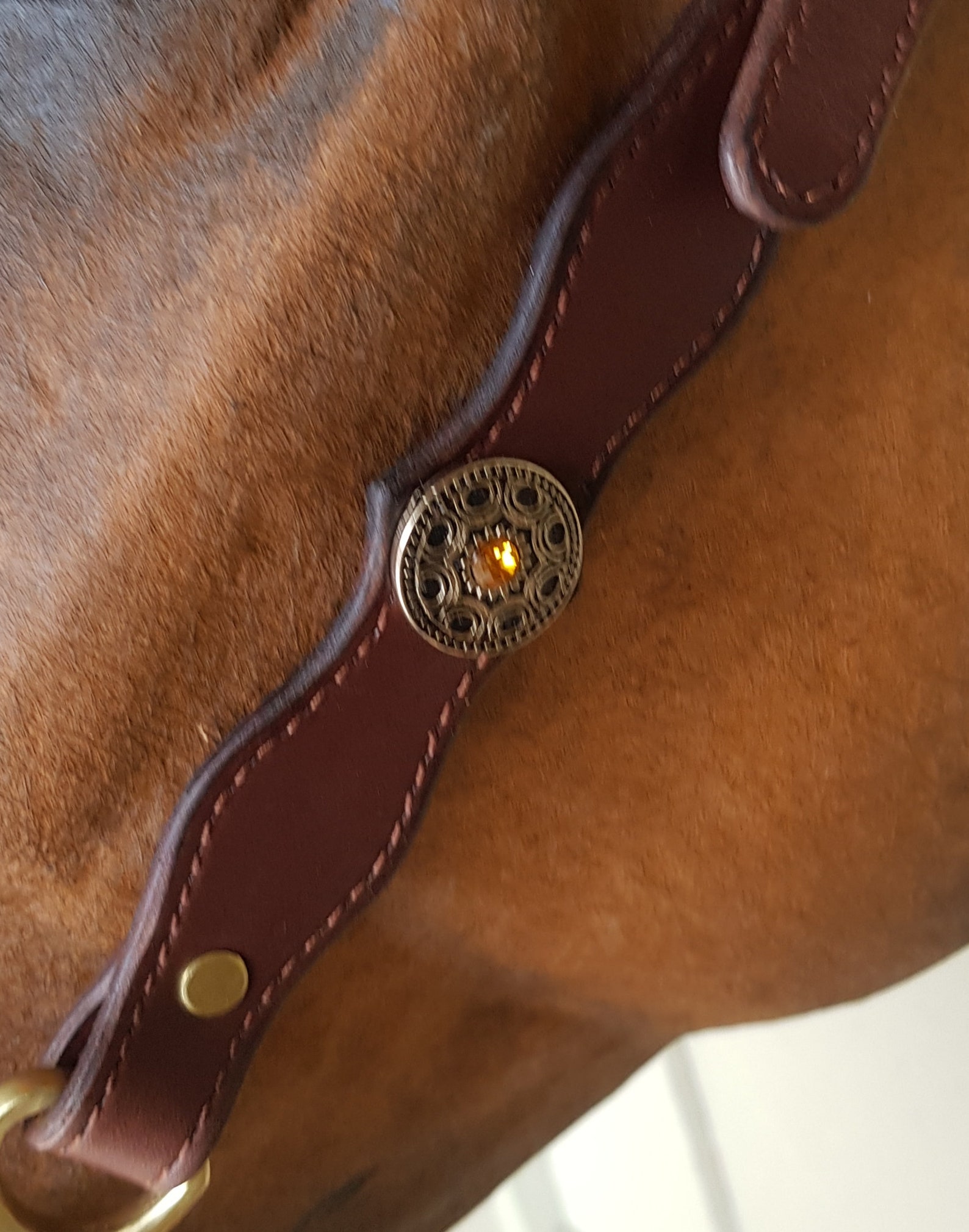 Pdf Pattern for Headstall / Bridle Crown - Etsy