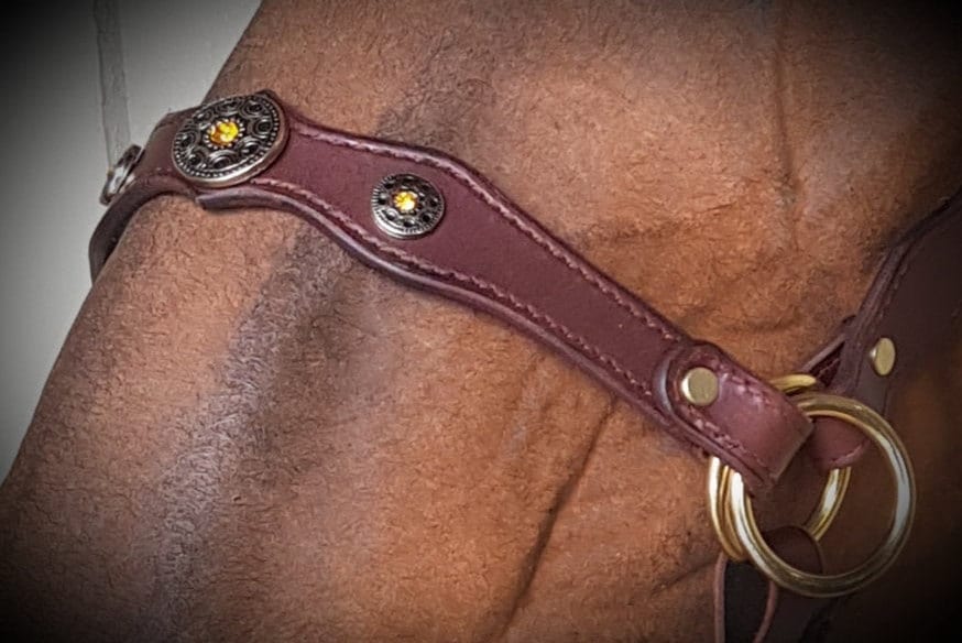 Pdf Pattern for Complete Sidepull Bridle Crown - Etsy