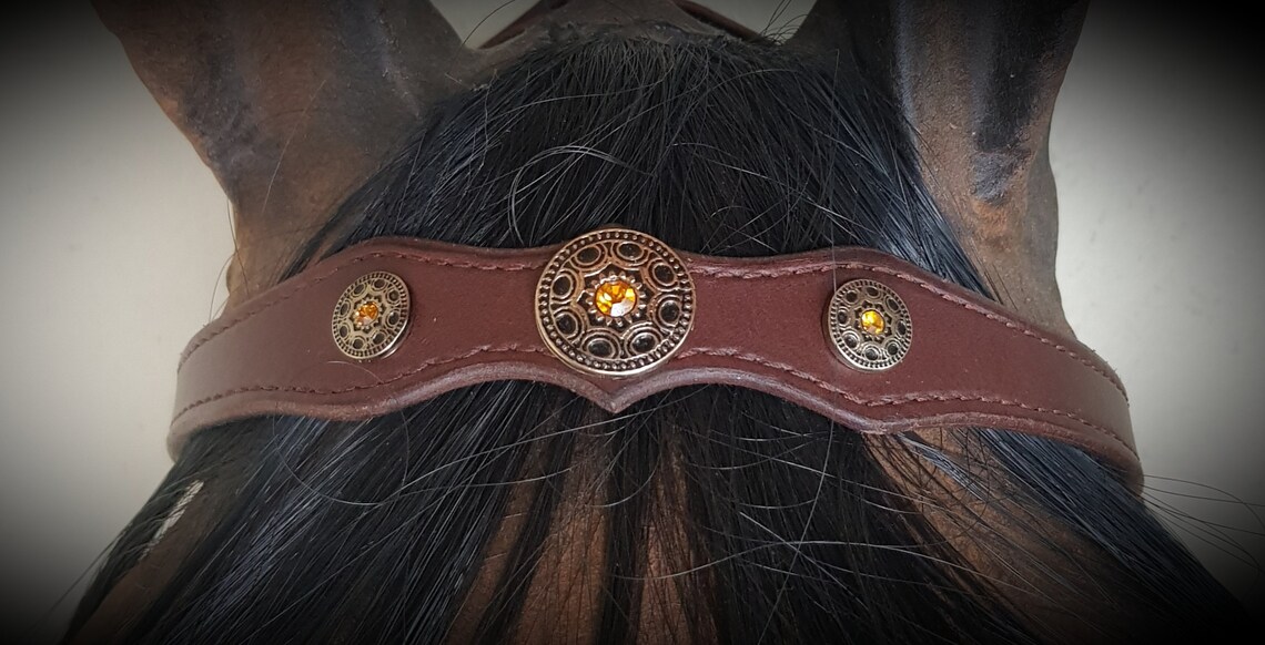 Pdf Pattern for Headstall / Bridle Crown - Etsy