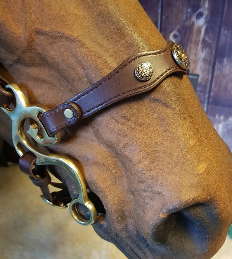 Pdf Pattern Hackamore Noseband - Etsy