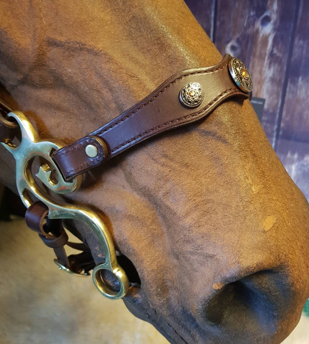 Pdf Pattern Hackamore Noseband - Etsy