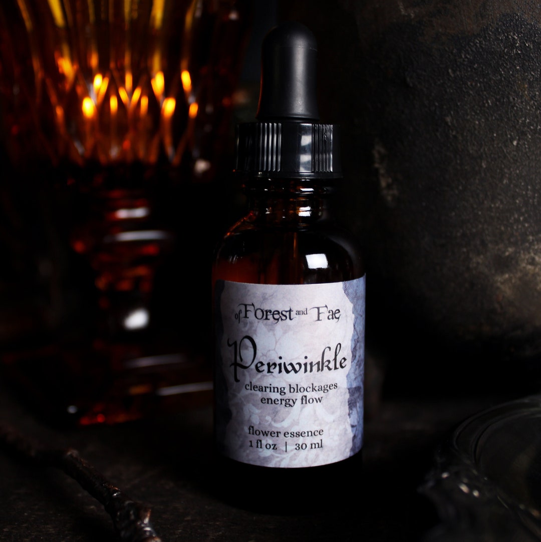 Energy Flow – Periwinkle Flower Essence for Divination, Intuition ...