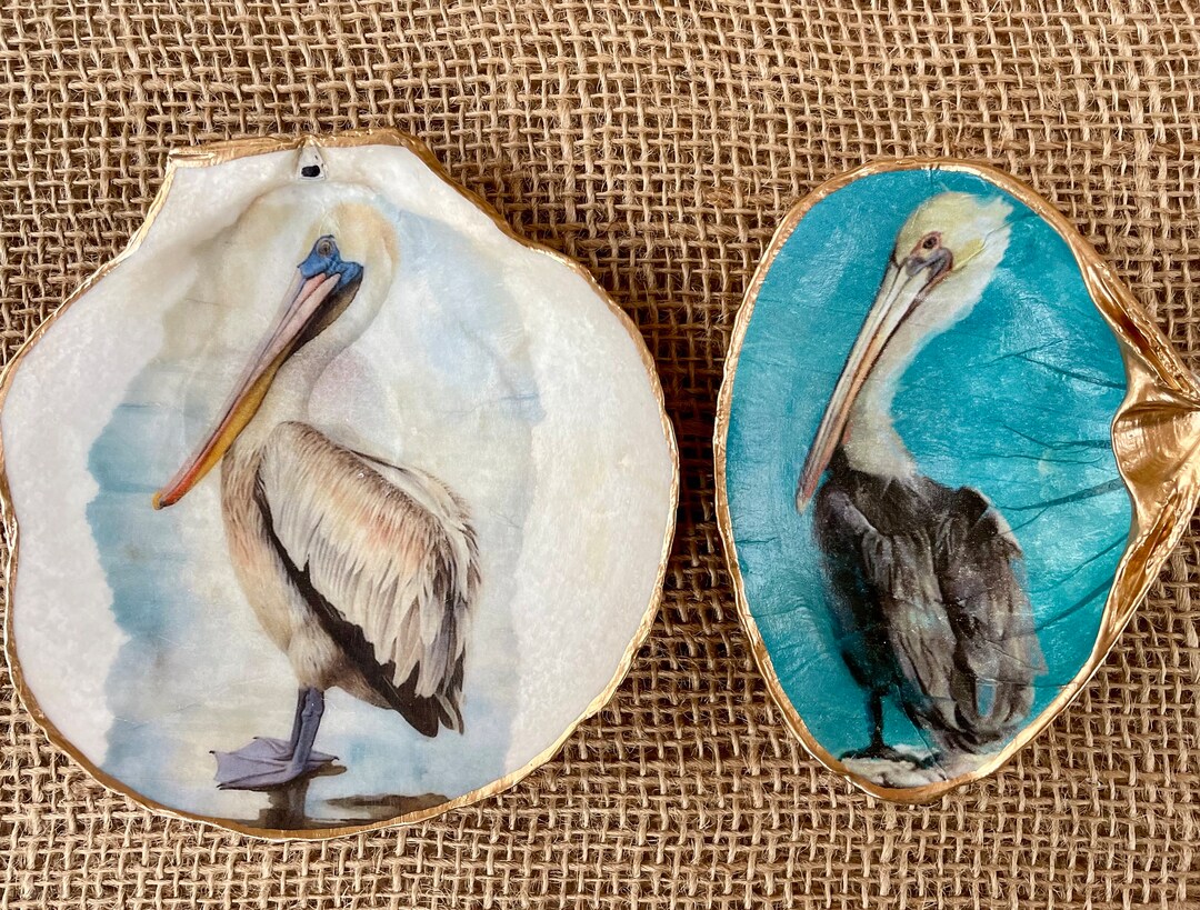 The Pelican Squadron - Gilded and Decoupaged Natural Sea Shells - Etsy