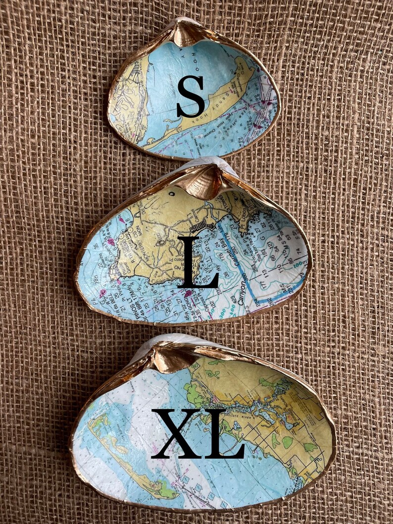 Custom NOAA Chart Shells Decoupaged and Gilded Clams and - Etsy