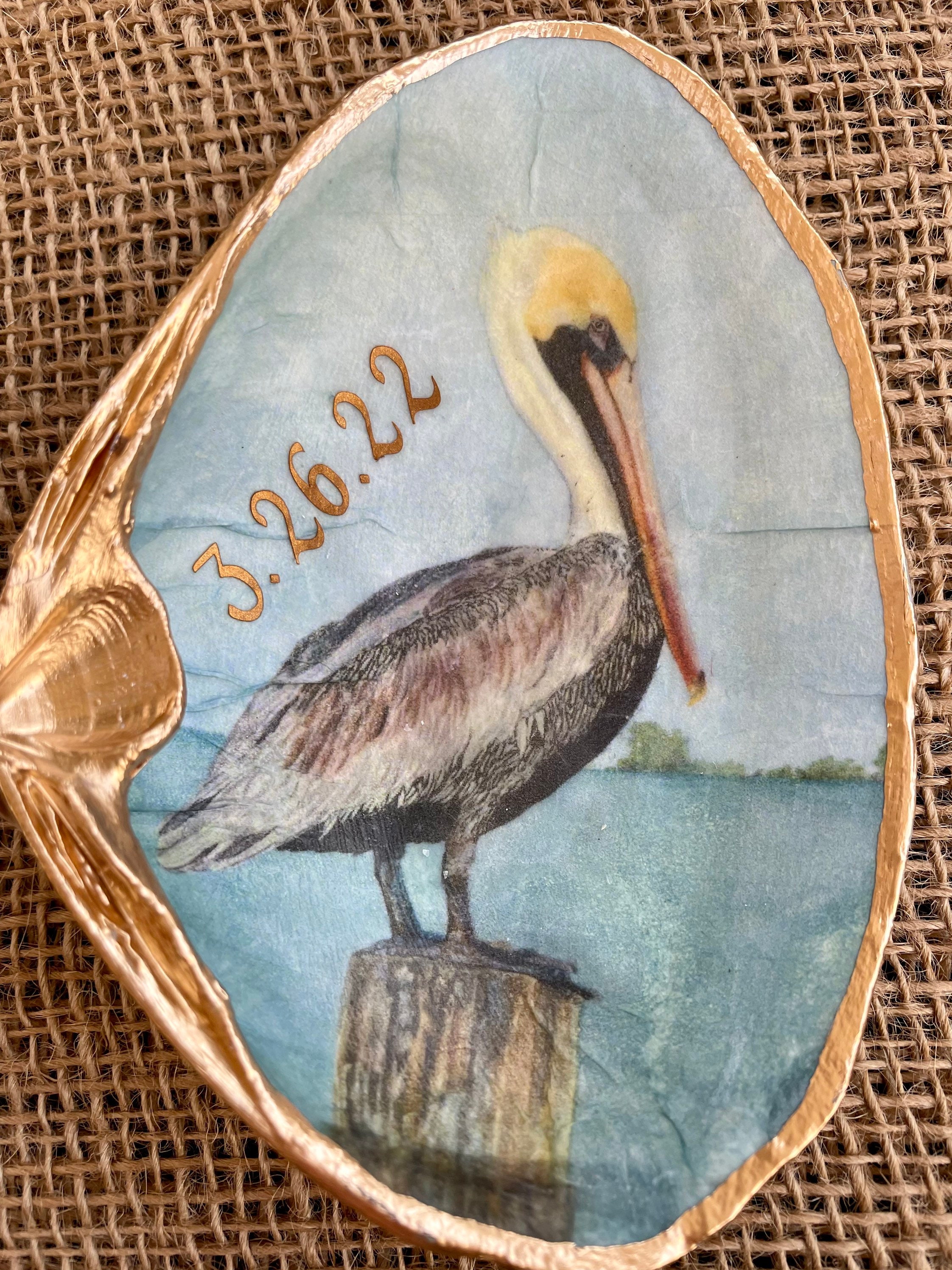 Custom Shells - Etsy