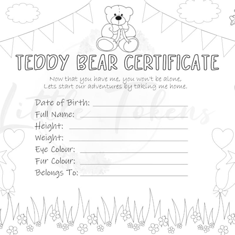 Build a Bear Certificate - Etsy
