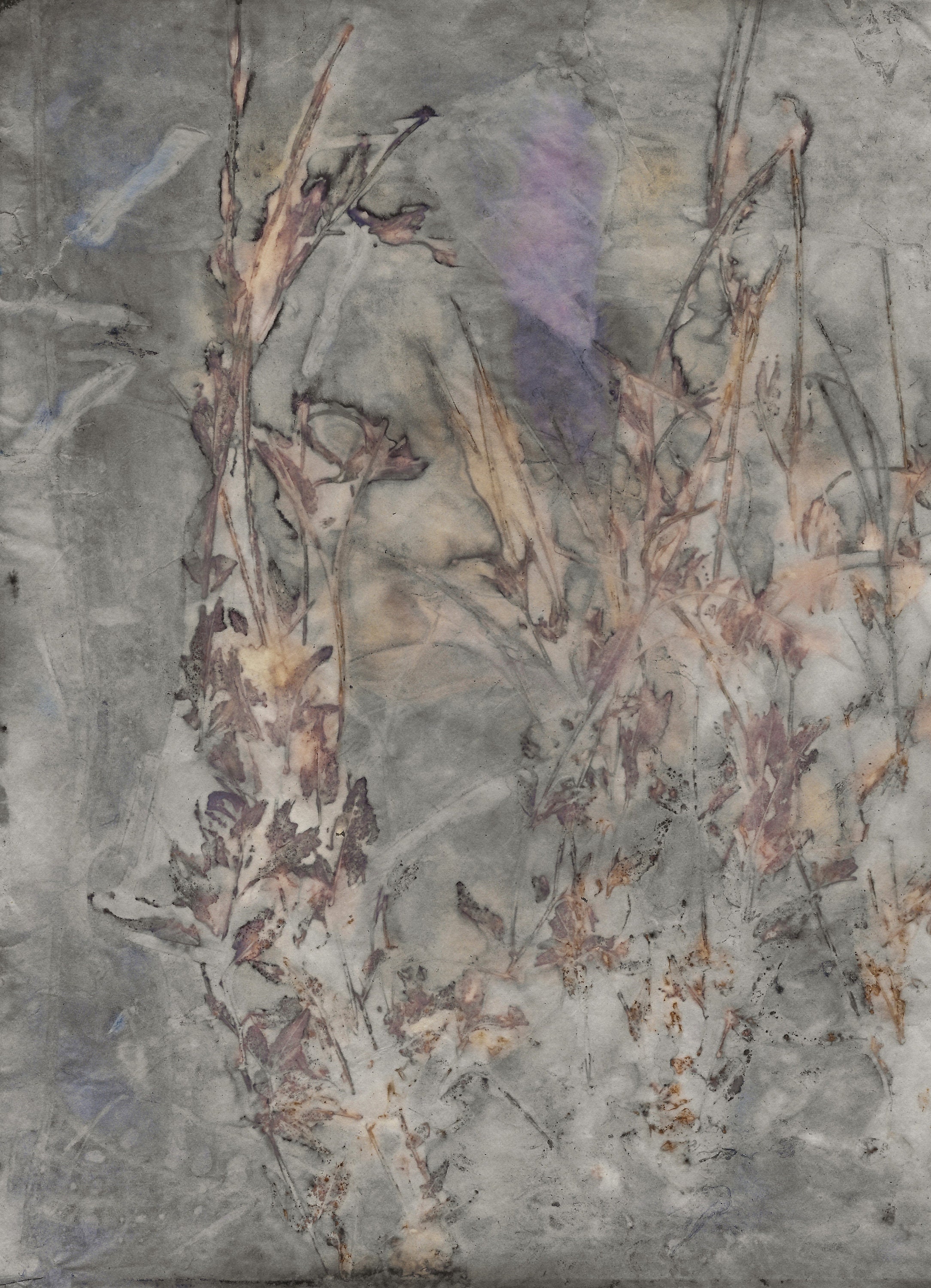 Printable Journal Pages Grass Poetry - Etsy