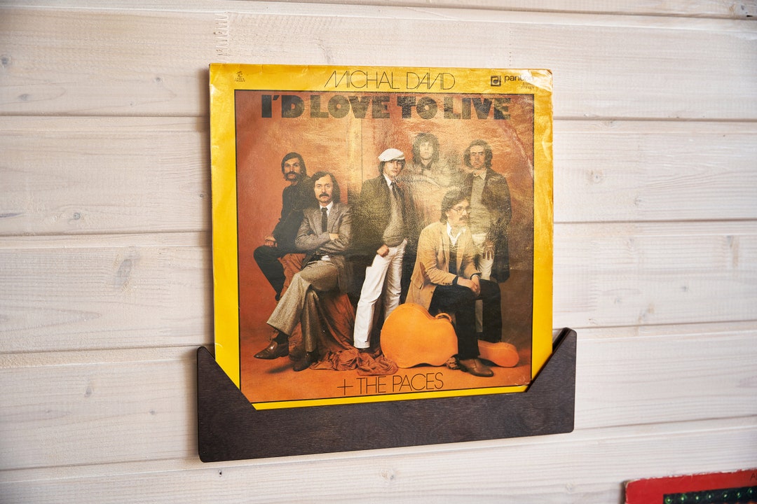 Vinyl Album Storage Wall Display, Wall Vinyl Record Stand, Vinyl Record ...