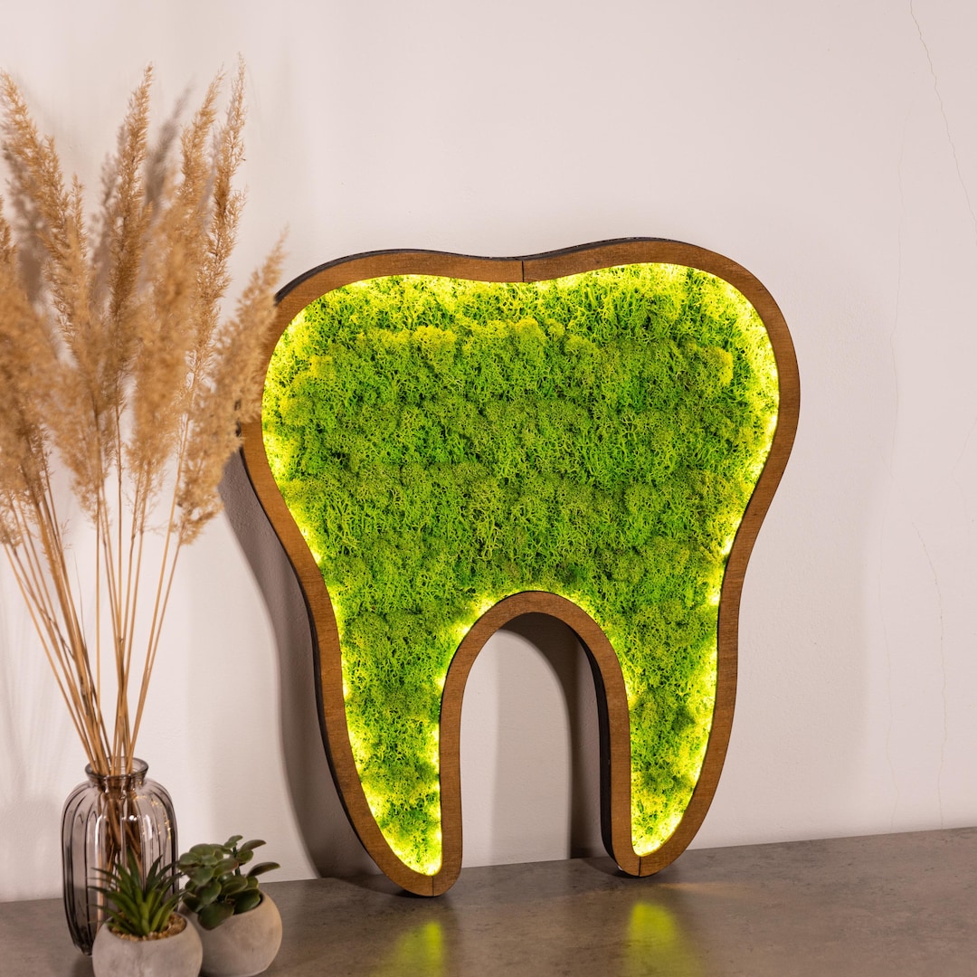 Moss Wall Art With Led, Reindeer Moss Tooth, Dentist Gift, Natural ...
