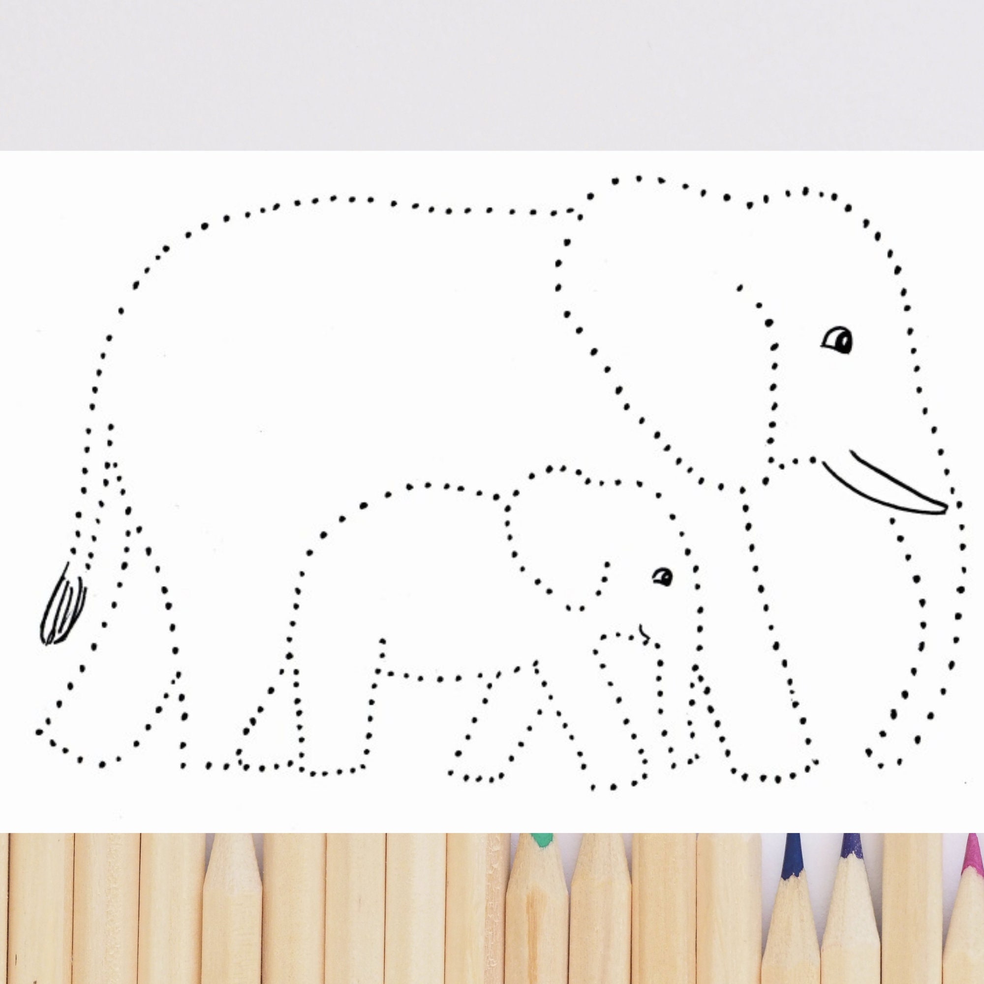 Dotted Drawing for Kids, Animal Drawing for Kids, Instant Download PDF ...