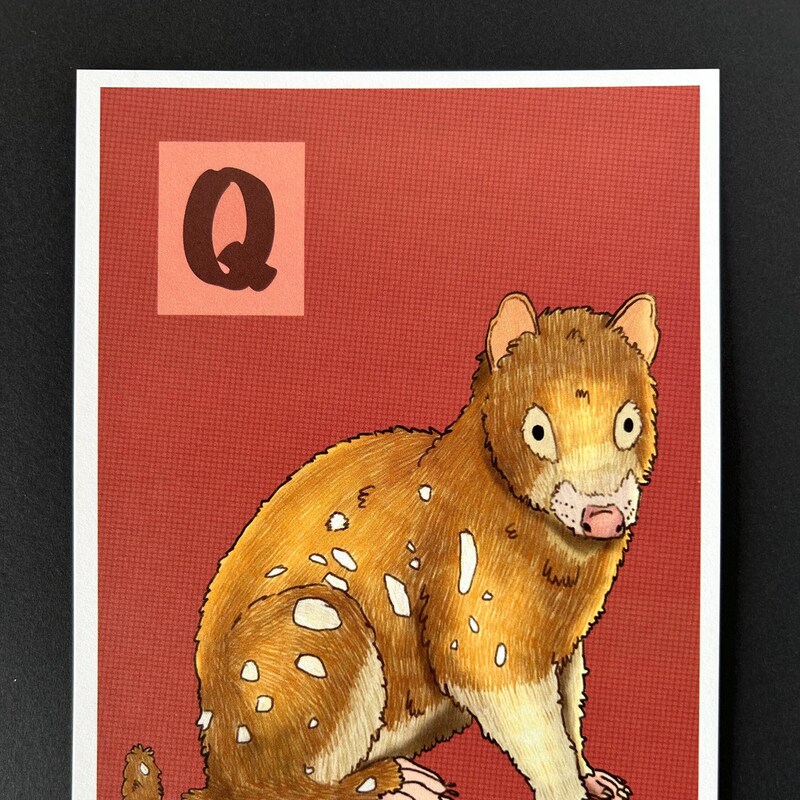 Quoll - Etsy