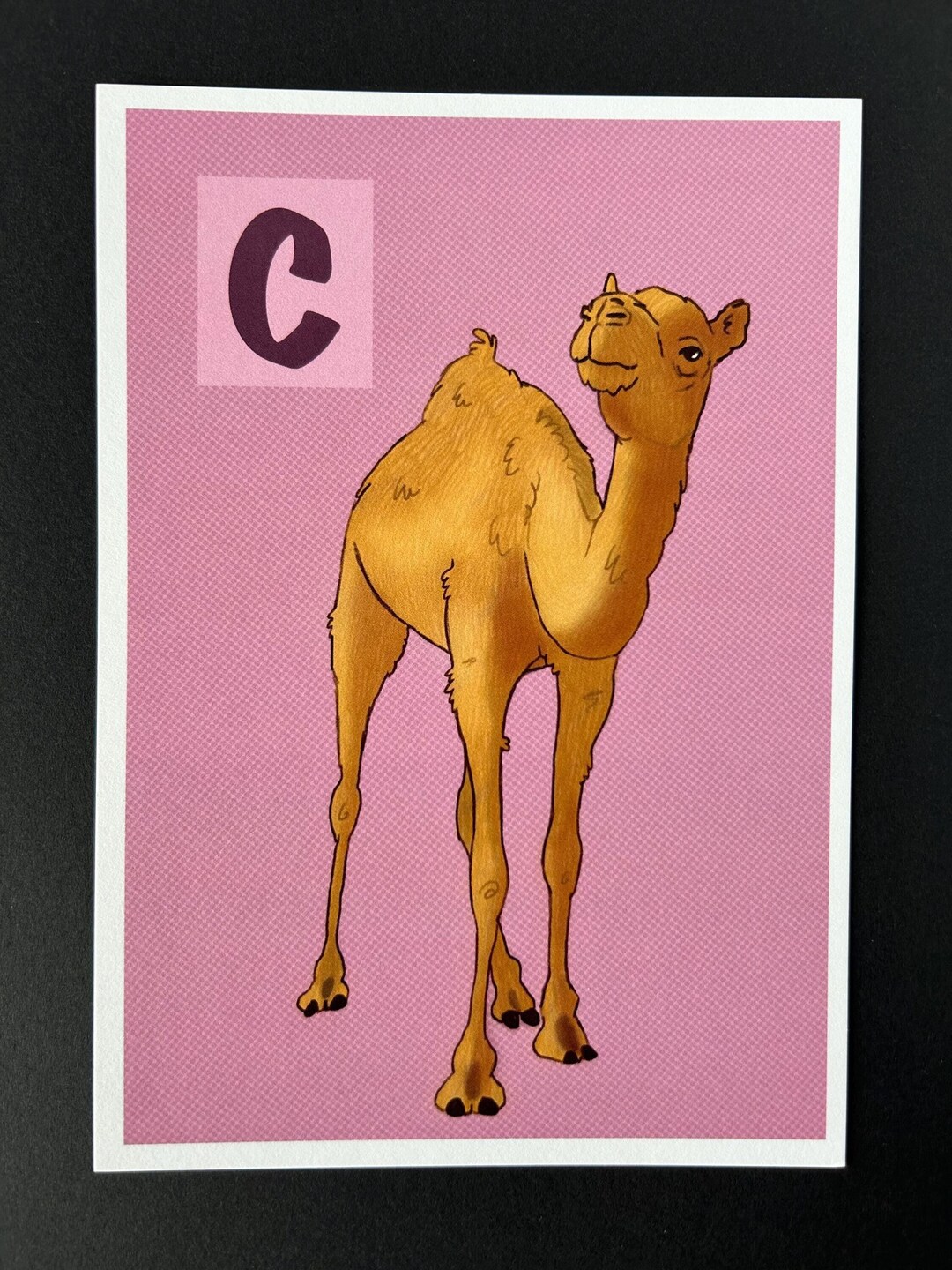 Camel Print- Alphabet Letter C - A5 Print - Etsy
