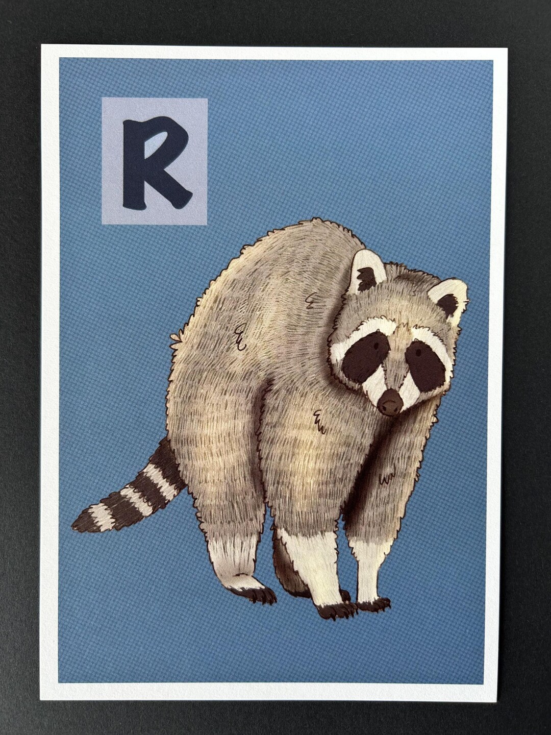 Raccoon Print- Alphabet Letter R - A5 Print - Etsy