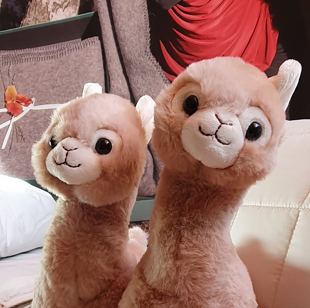 Plush Alpaca, Plush Toy, Stuffed Animal, Stuffed Alpaca, Beauty, - Etsy