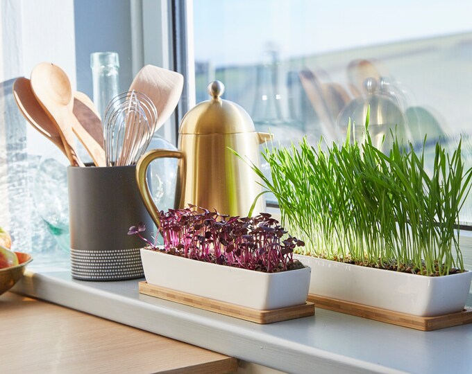 Rectangular Ceramic Planter - Etsy