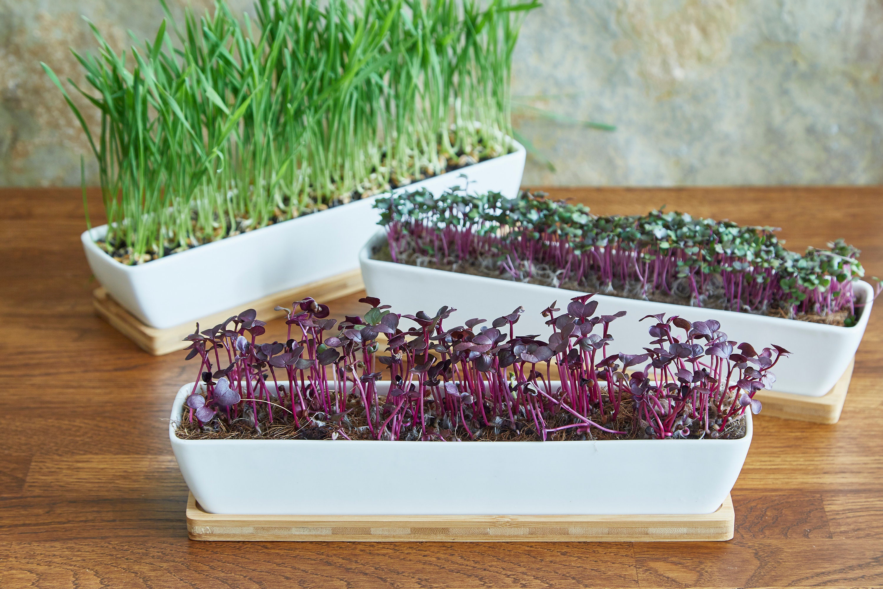 Rectangular Ceramic Planter | Etsy