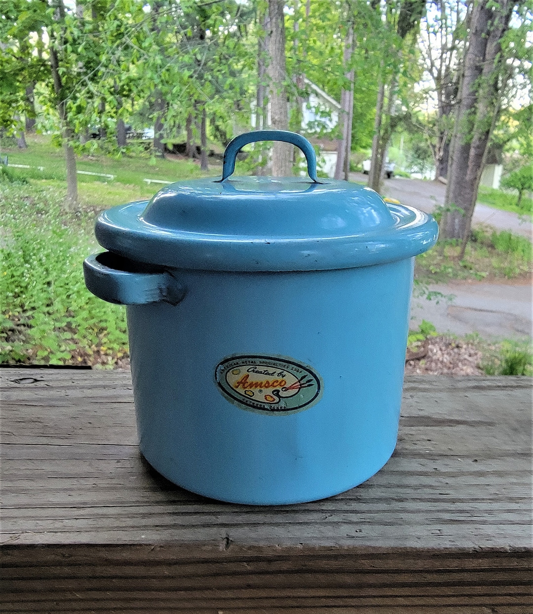 Amsco Blue Enamel Egg Pot/cooker With Egg Holder. 4-5/8w X 4-3/4h - Etsy