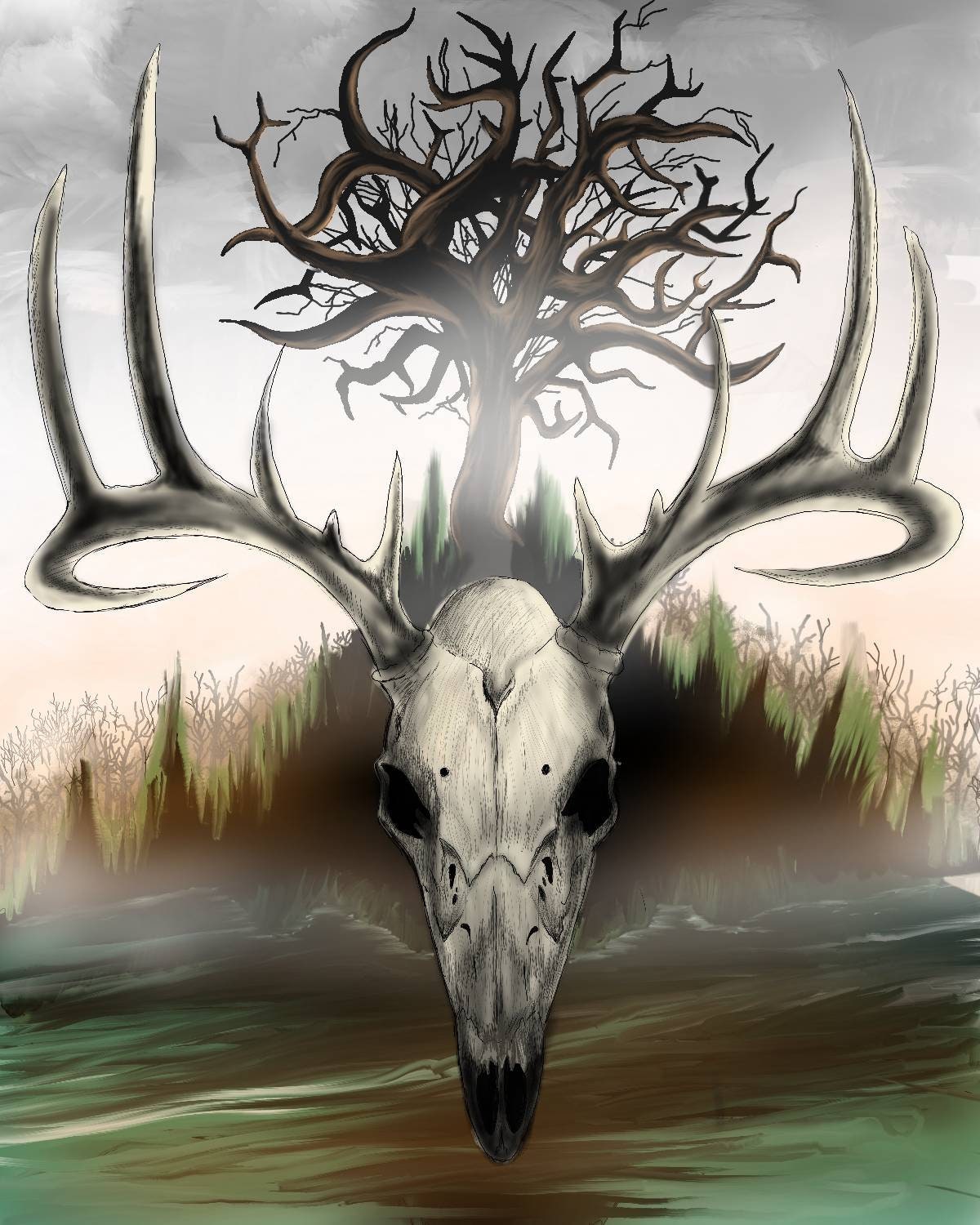 Deer Skull Drawings