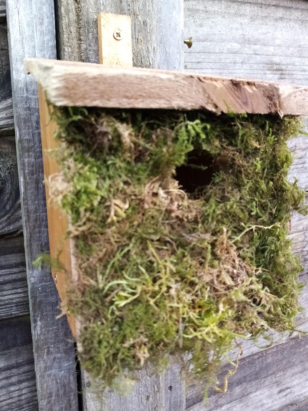 Natural Nesting Box, Small Garden Birds, 30mm Hole - Etsy UK