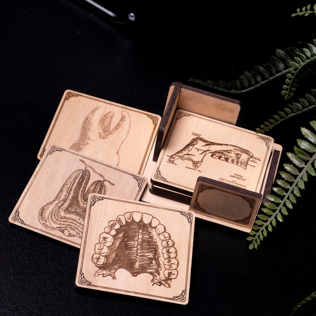Wooden Dentist Coasters, Anatomy Coasters, Dental Coasters, Teeth ...