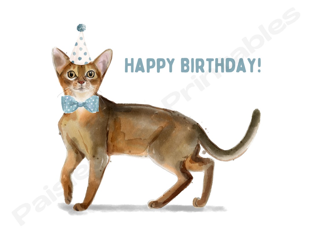 HAPPY BIRTHDAY! Abyssinian Cat Watercolor, Funny Cat, Cute Cat in Bow ...