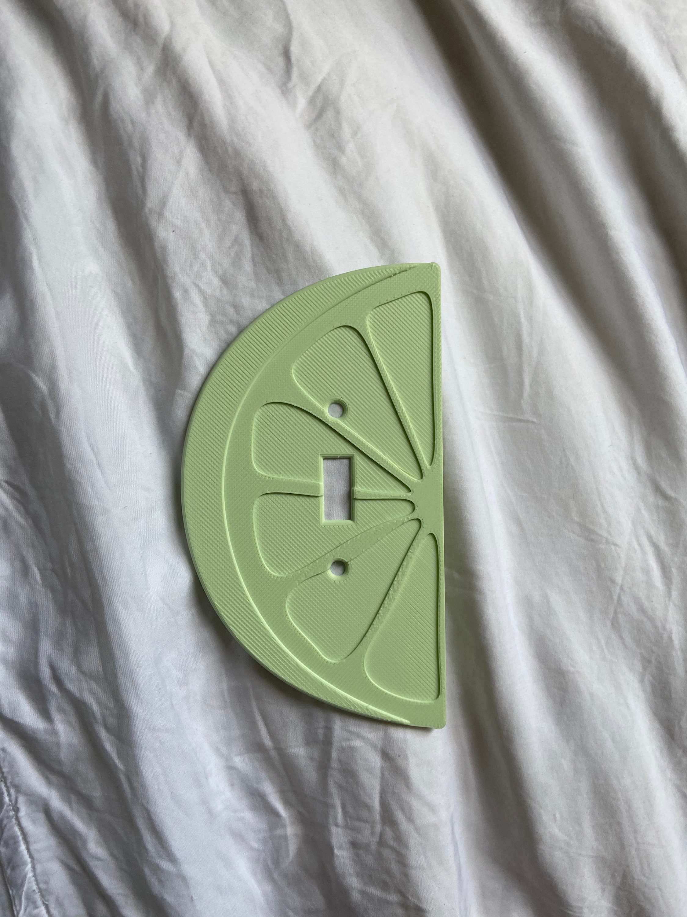 Citrus Light Switch Cover 1 Toggle | Etsy