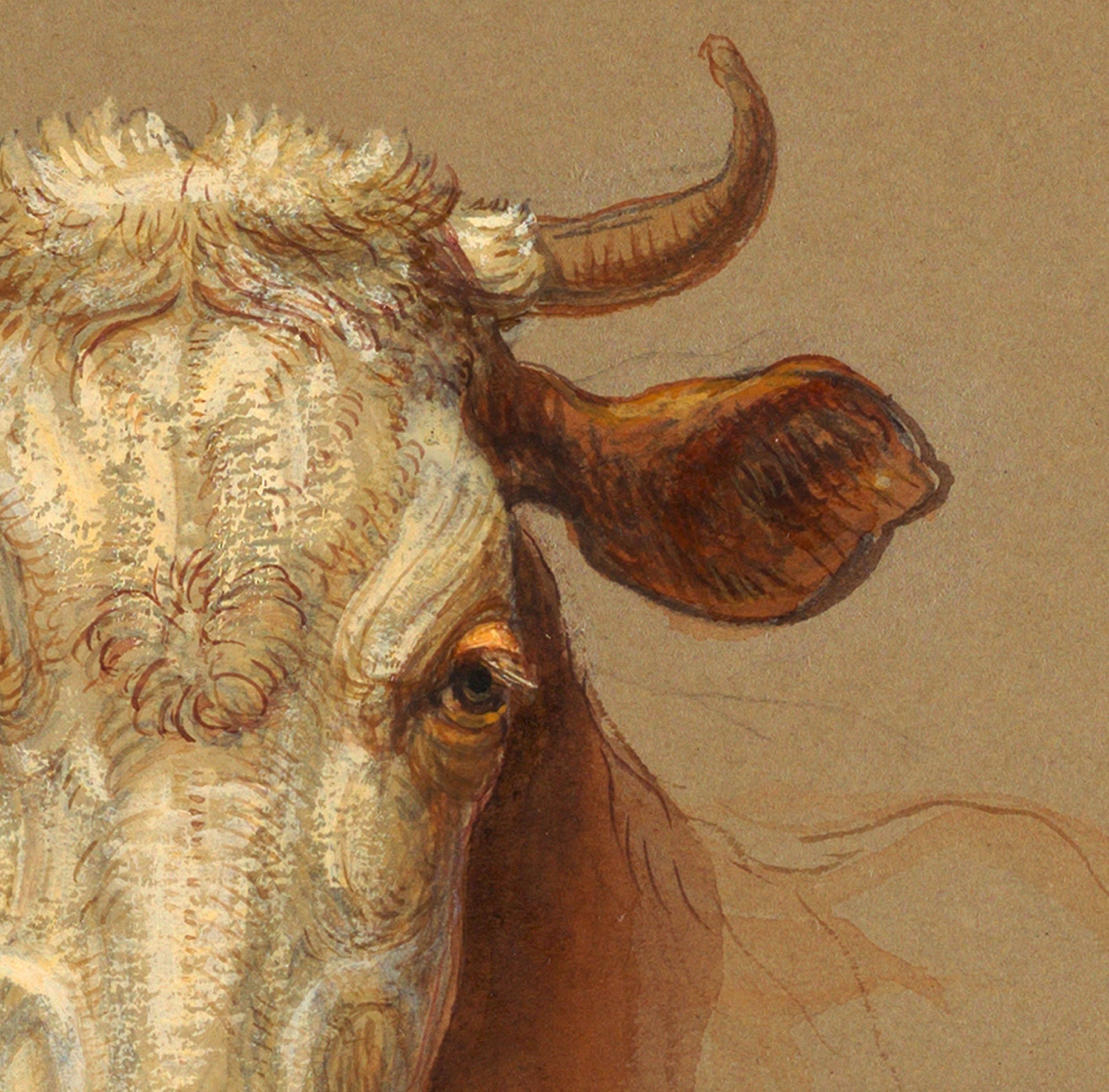 Printable Vintage Cow Sketch Antique Farmhouse Art Print - Etsy