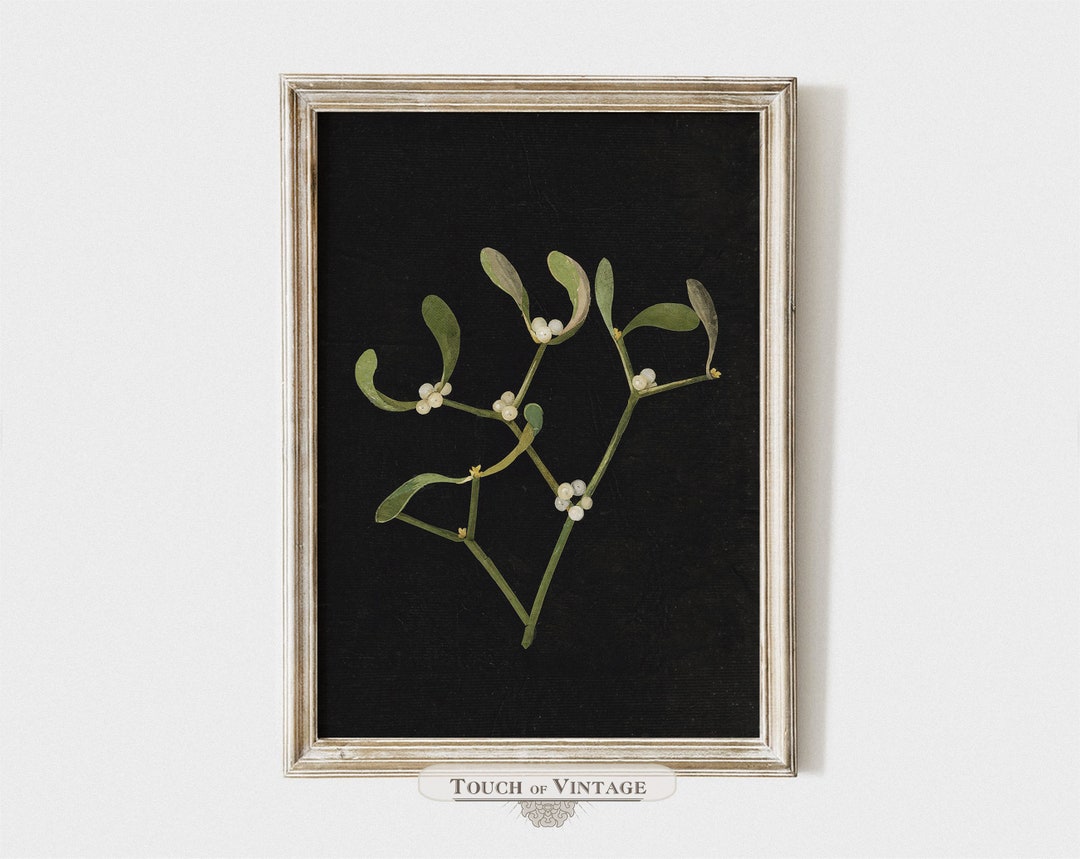 Printable Vintage Mistletoe Painting, Botanical Winter Wall Art ...