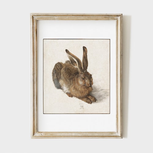 Vintage Rabbit Drawing Antique Sketch Vintage Animal Art - Etsy