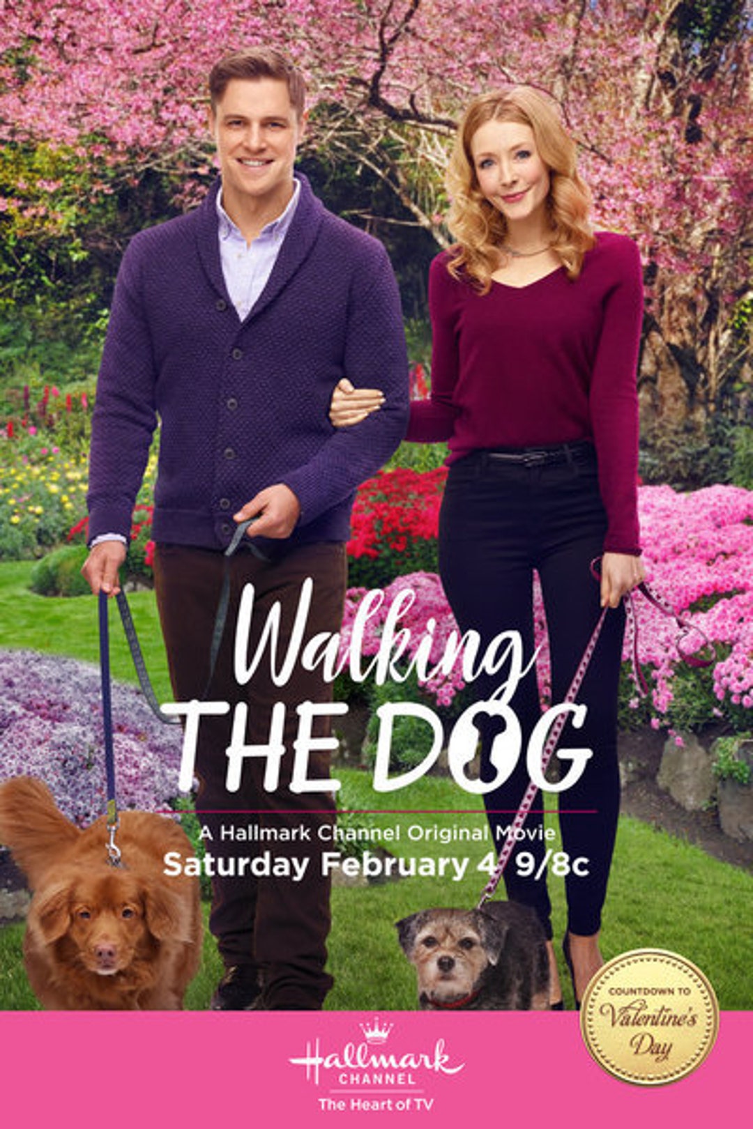 Walking the Dog DVD Movie - Etsy