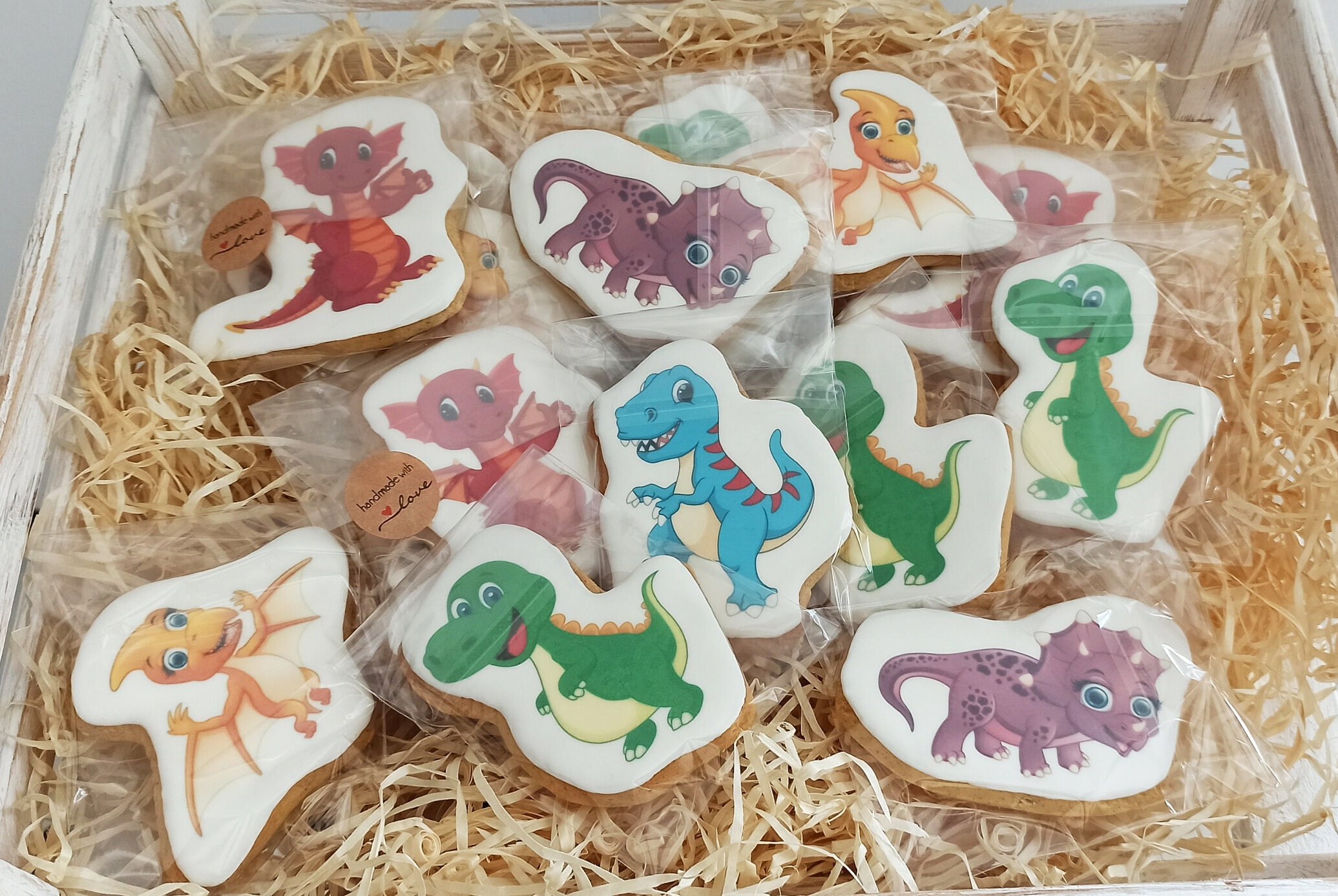 Set 12 Dino Cookies Dinosaur Birthday Cookies Dinosaur Set Cookies T ...