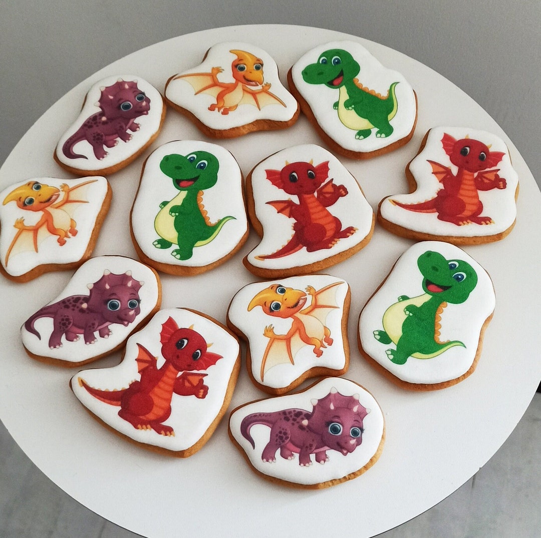 Set 12 Dino Cookies Dinosaur Birthday Cookies Dinosaur Set Cookies T ...