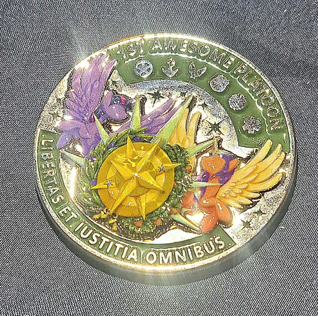 1AP Challenge Coin (first Edition) - Etsy