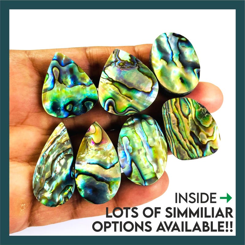 Blue Abalone Shell - Etsy
