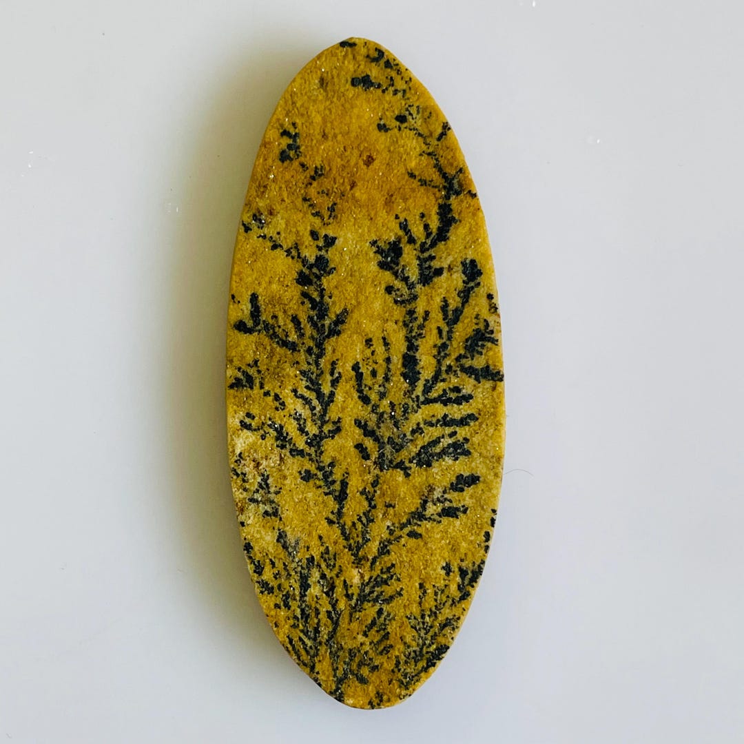 Dendritic Limestone Cabochon Natural Dendritic Agate Gemstone for ...