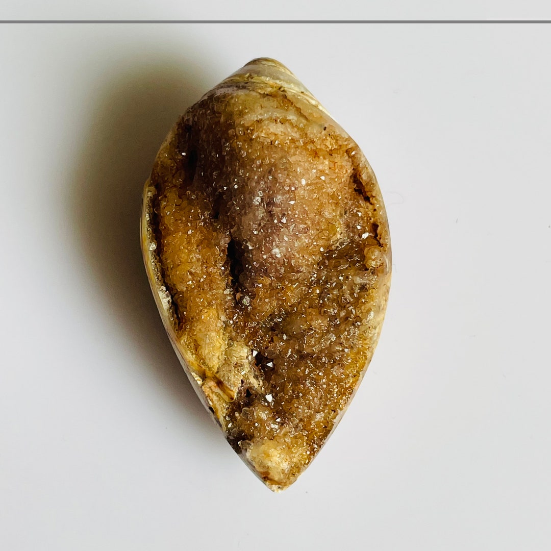 100% Natural Rare Fossil Snail Druzy Agate Shell Fancy Loose Gemstone ...
