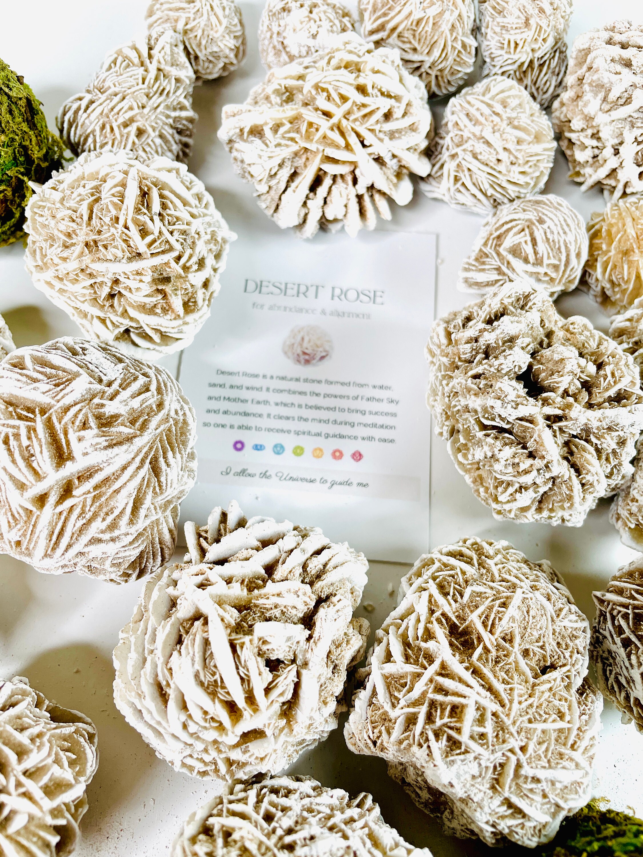 Desert Rose Fossil Flash Sales | emergencydentistry.com