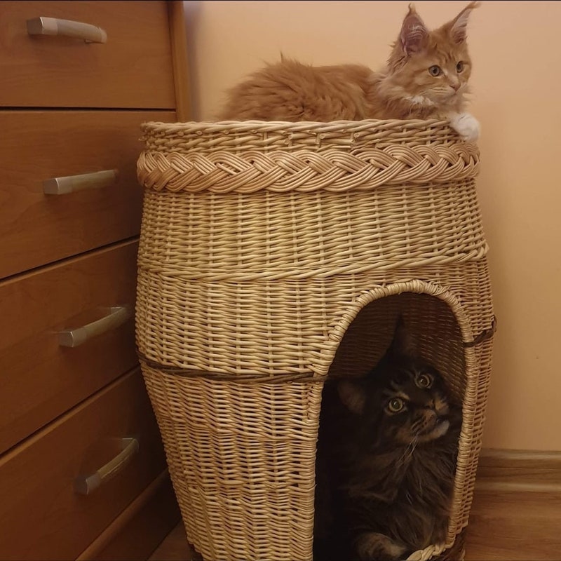 Wicker Cat House - Etsy