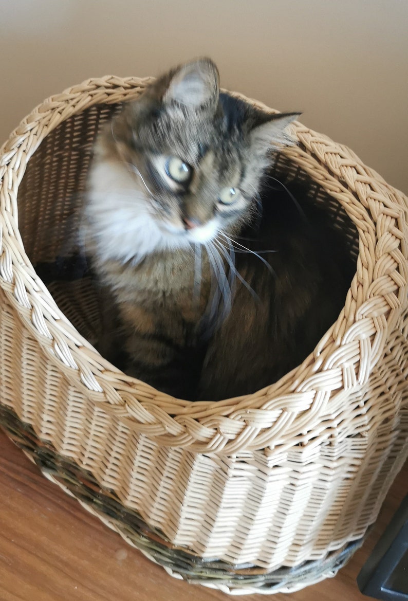 Cat Cave Cat Basket Basket for Cats Handwoven Basket for | Etsy