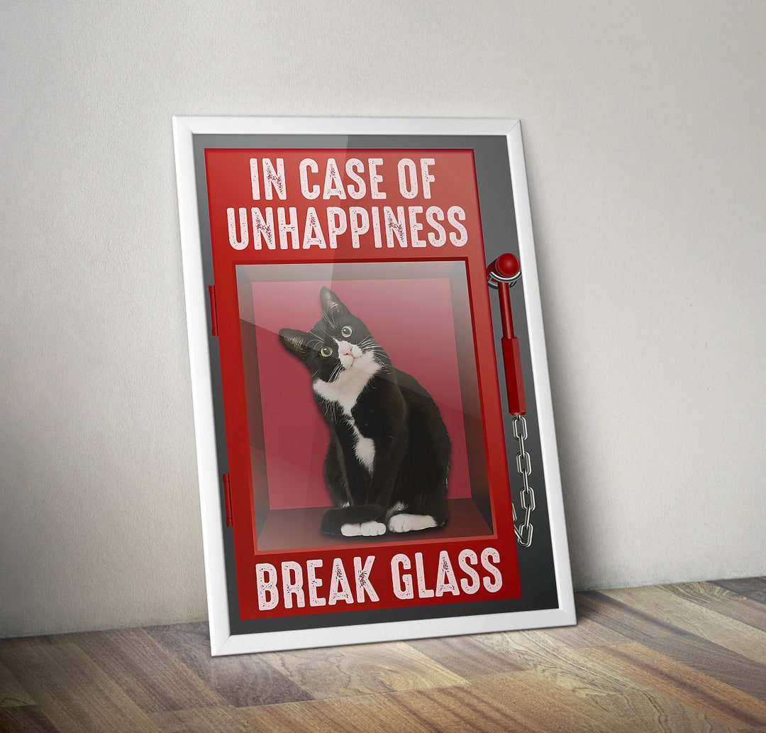Tuxedo Cat in Case of Unhappiness Break Glass Tuxedo Cat - Etsy