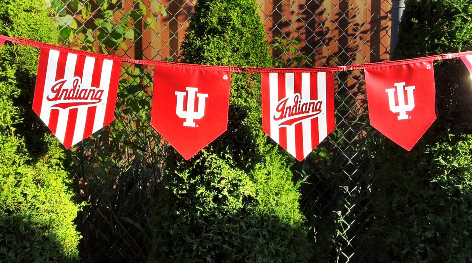 Indiana University Pennant Flags | 12 Flags on 18' of String | Candy ...