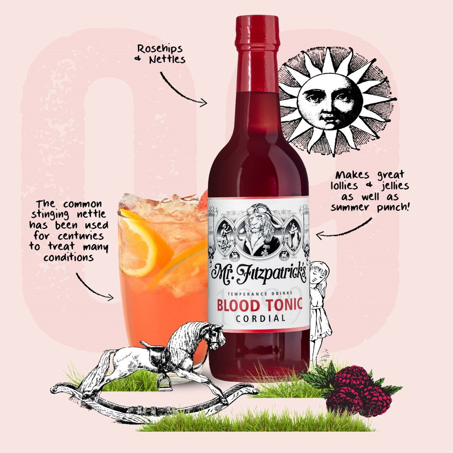 Blood Tonic - Mr Fitzpatrick's Cordial - Etsy UK