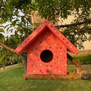 Pink Strawberry Birdhouse Hand Painted Birdhouse Decorarive Birdhouses ...