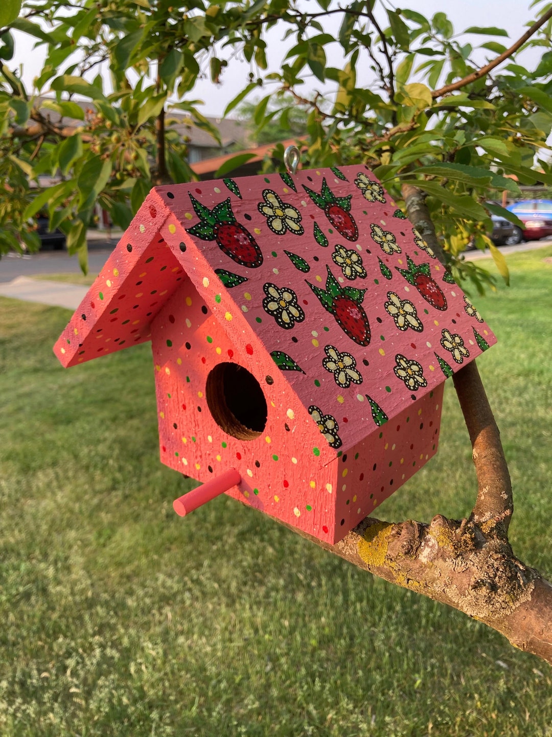 Pink Strawberry Birdhouse Hand Painted Birdhouse Decorarive Birdhouses ...