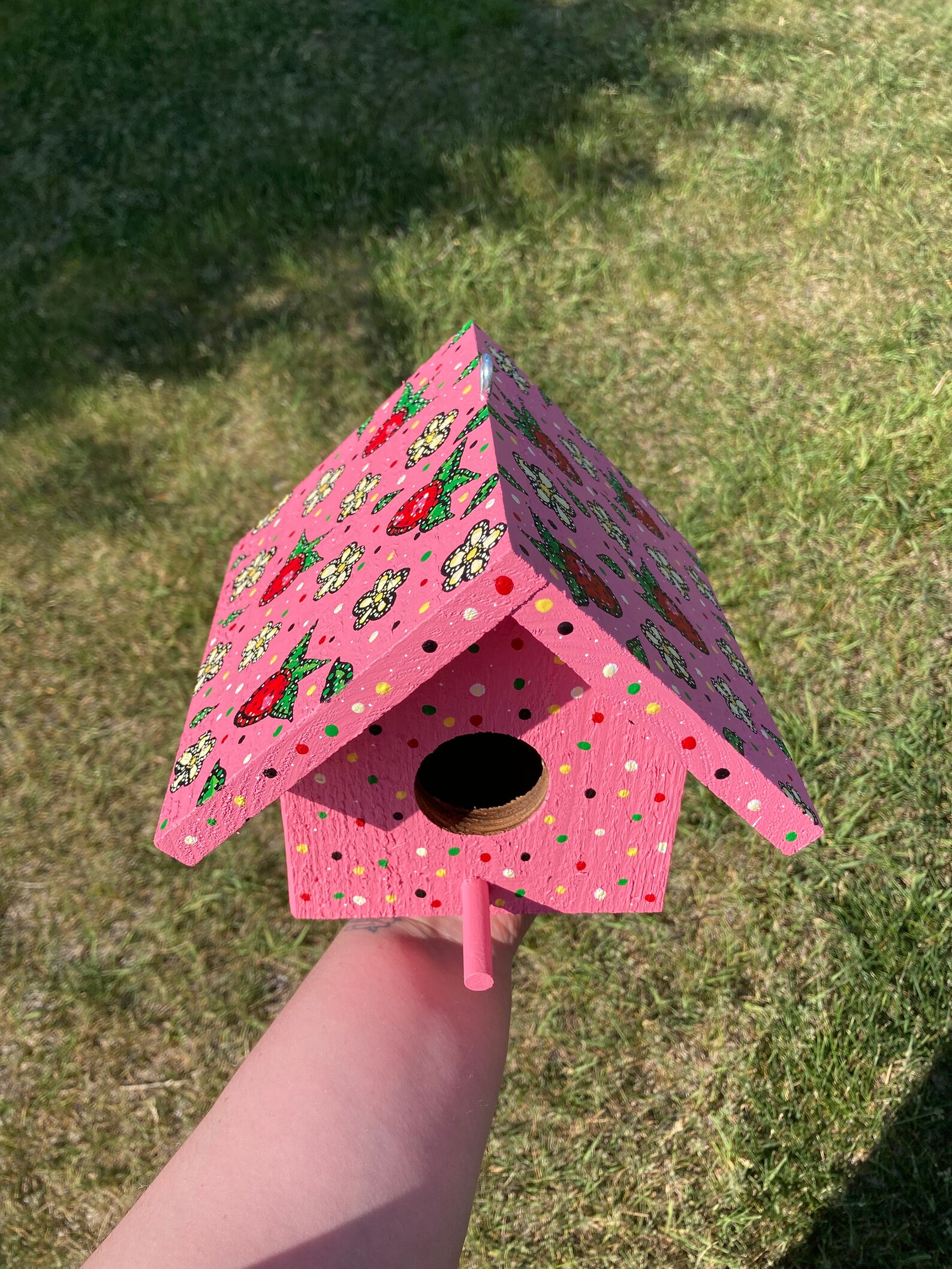 Pink Strawberry Birdhouse Hand Painted Birdhouse - Etsy