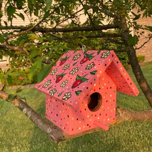 Pink Strawberry Birdhouse Hand Painted Birdhouse Decorarive Birdhouses ...
