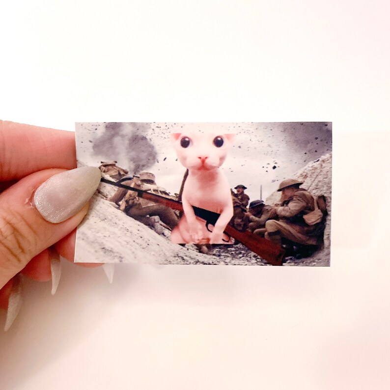 Bingus Sticker Pack Bingus Stickers This is Bingus Sticker | Etsy